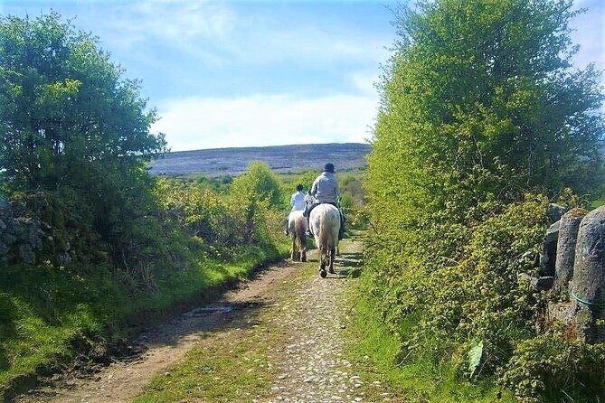 Horse riding - Dirt Trek Trail. Lisdoonvarna, Clare. Guided. 1 hour. - The Sum Up