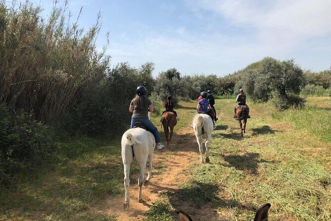 Horse Riding Excursion from Seville - Final Words
