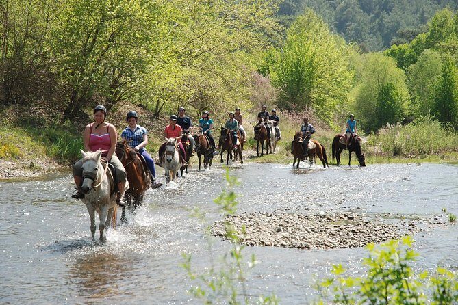 Horse Riding Experience in Marmaris with Transfer - What To Expect from the Marmaris Horseback Riding Tour