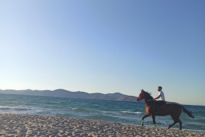 Horse Riding Experience on the Beach with Instructor - Horse Riding Experience on the Beach with Instructor: A Detailed Review