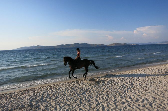 Horse Riding Experience on the Beach with Instructor - Final Thoughts: Is This Experience Worth It?