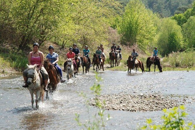 Horse Riding From Kusadasi Port / Hotels - What to Expect from the Tour