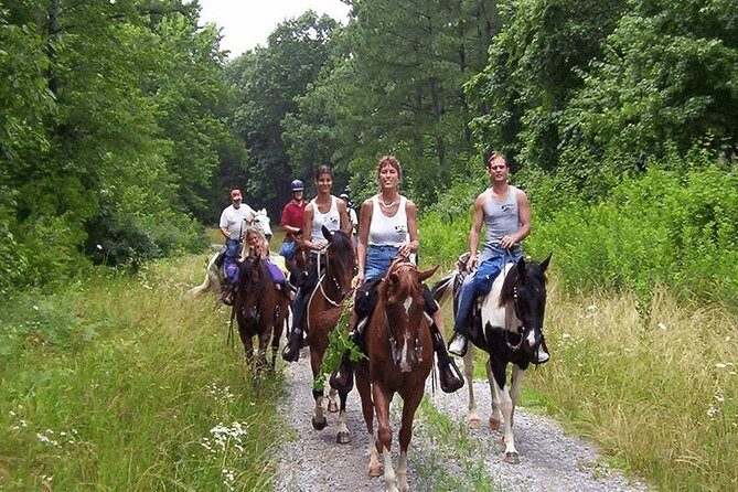 Horse Riding From Kusadasi Port / Hotels - The Scenic Settings and Photo Opportunities