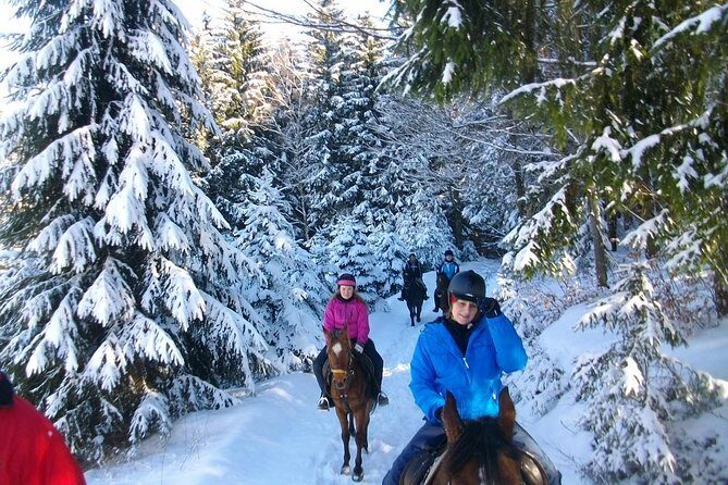 Horse Riding in Bled - Breakdown of the Itinerary