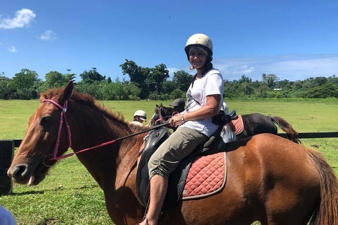 Horse Riding in Port Vila with Yumi Tours - Who is This Tour Perfect For?