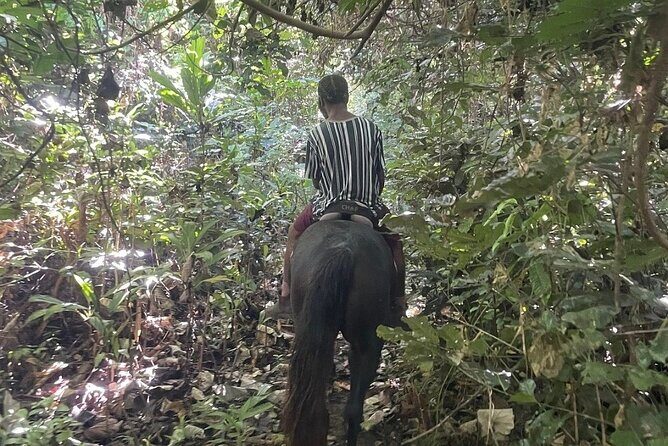 Horse Riding in Port Vila with Yumi Tours - FAQ