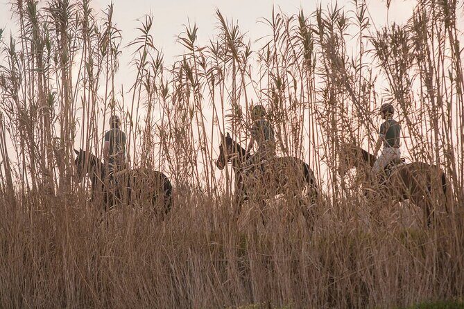 Horse Riding in the Countryside - The Sum Up