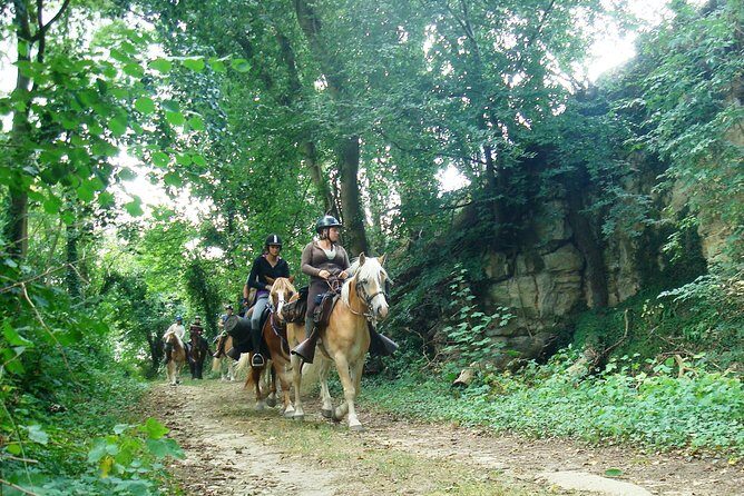 Horse riding in the French countryside between Paris and Lille - An in-depth look at the horseback riding experience