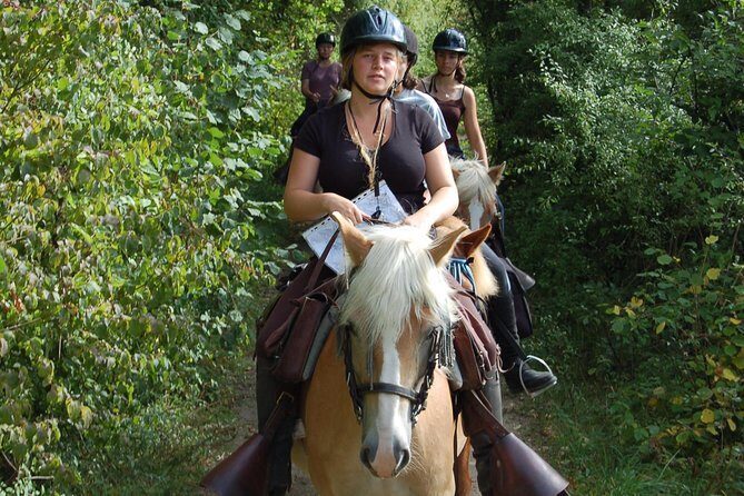Horse riding in the French countryside between Paris and Lille - Final thoughts