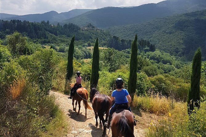 Horse Riding in Tuscany for Experienced Riders: Full-day Trail Ride - Horse Riding in Tuscany for Experienced Riders: Full-day Trail Ride — A Detailed Review