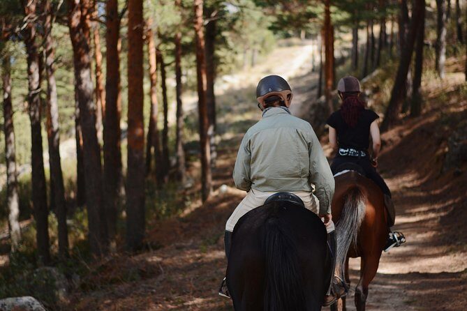 Horse Riding Madrid Natural Park - How to Get There and Practical Details