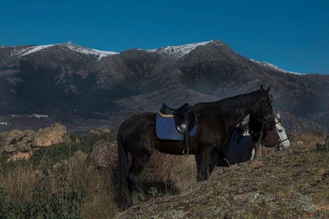 Horse Riding Madrid Natural Park (long Trip) - Discovering the Sierra de Guadarrama on Horseback
