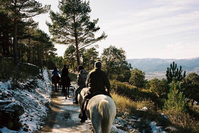 Horse Riding Madrid Natural Park (long Trip) - The Sum Up: Who Will Love This Experience?