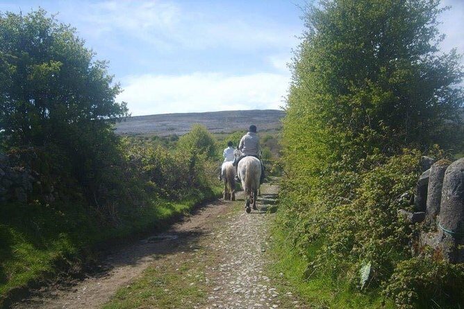 Horse riding - Mountain Trail. Lisdoonvarna, Co Clare. Guided. 2 hours. - An In-Depth Review of the Mountain Trail Horse Riding Experience