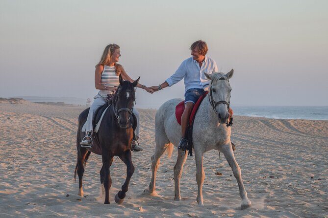 Horse Riding on Melides Beach - Who Will Love This Tour?