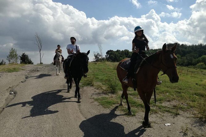 Horse Riding on Mount Vesuvius - Who Will Love This Tour?