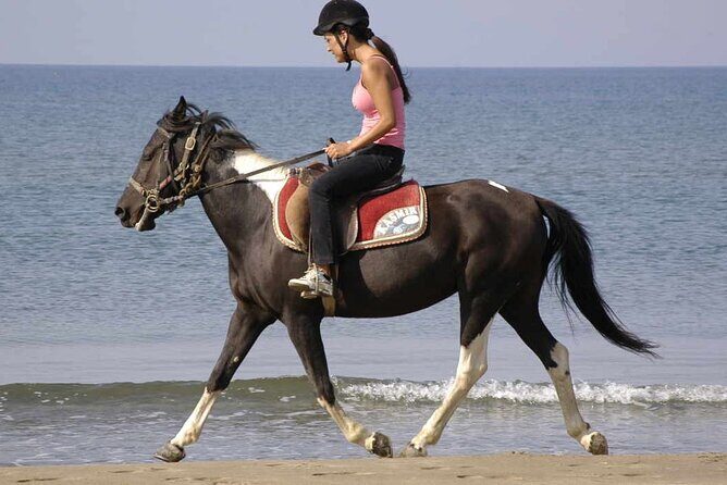 Horse Riding on the Beach in Side - Price and Value