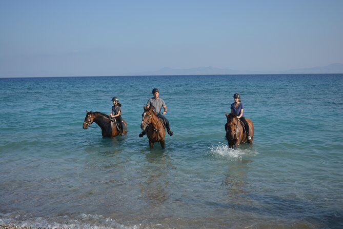 Horse riding on the Beach, Rhodes - What to Expect from the Rhodes Beach Horseback Riding Tour
