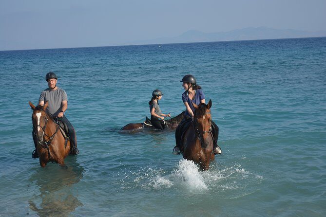 Horse riding on the Beach, Rhodes - The Full Breakdown: From Meeting to End