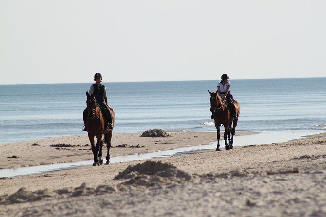 Horse riding on the Beach, Rhodes - Authentic Experiences from Real Travelers