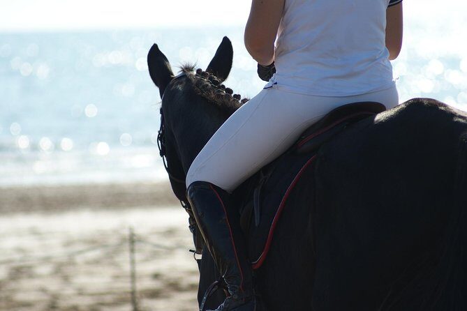 Horse riding on the Beach, Rhodes - Practical Tips for Booking & Participation