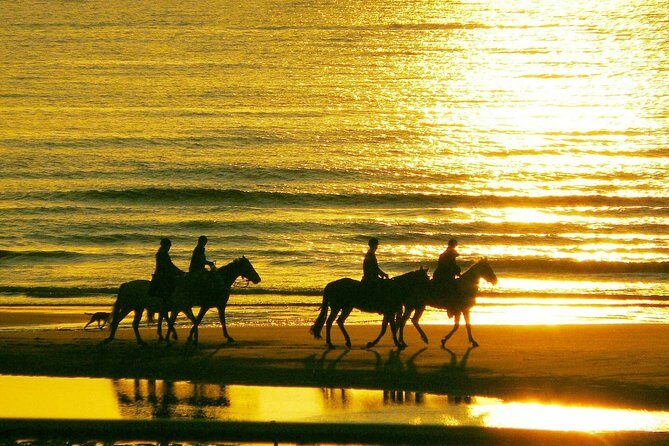Horse riding on the Beach, Rhodes - Final Thoughts