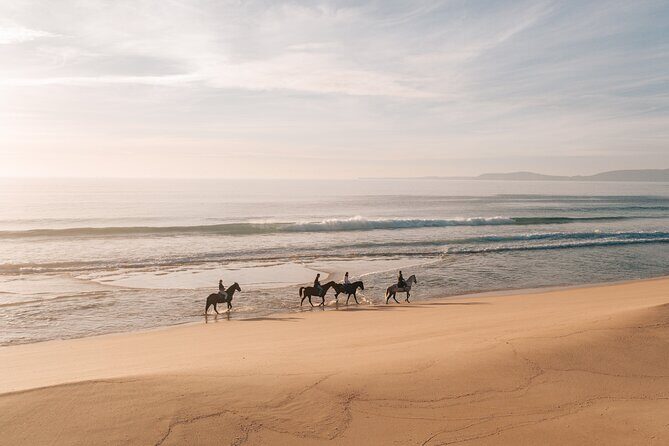 Horse Riding on the Beach with private transfer from Lisbon - Key Points