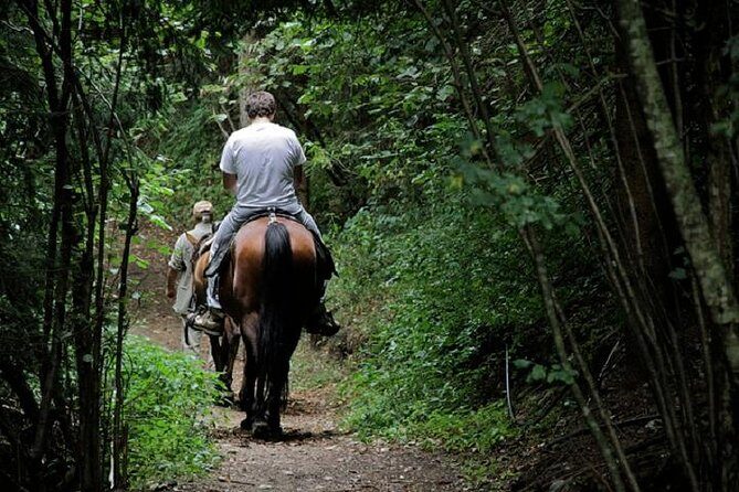 Horse Riding Small Group near Lucca - Who Is This Tour Perfect For?