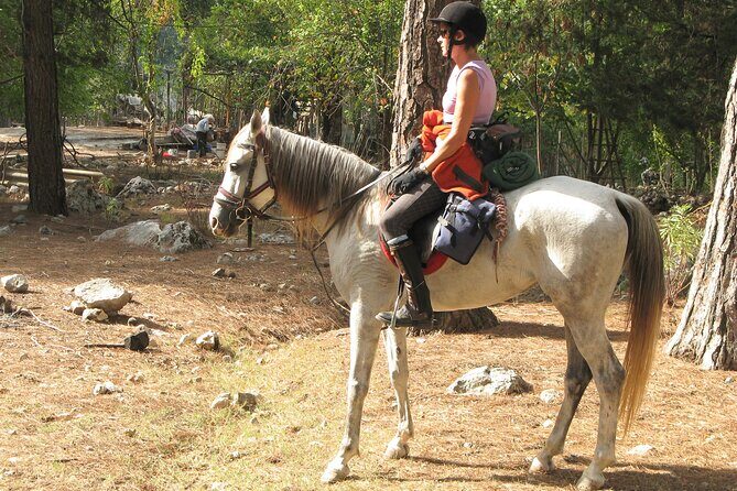 Horse Riding Tour in Bodrum with Hotel Pick Up - An In-Depth Look at the Bodrum Horse Riding Experience