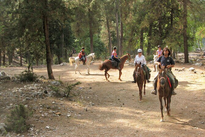 Horse Riding Tour in Bodrum with Hotel Pick Up - Frequently Asked Questions