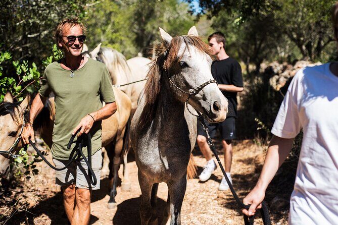 Horse Sanctuary: A nature walk with Rescued Horses by your side - An Authentic Encounter with Rescued Horses