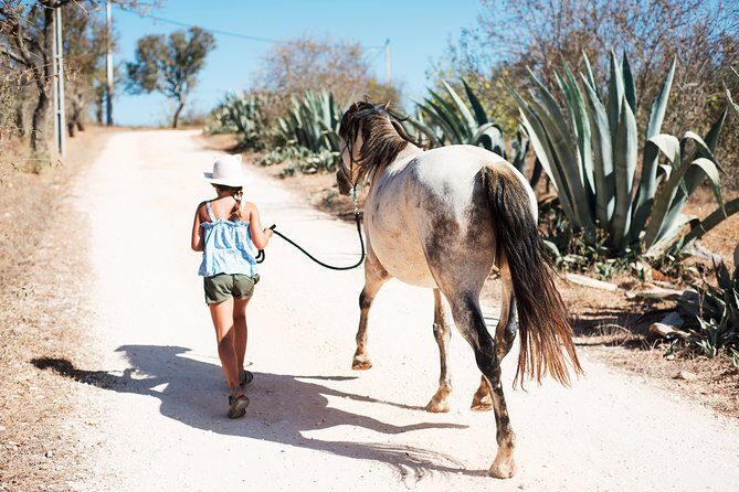 Horse Sanctuary: A nature walk with Rescued Horses by your side - Value for Money