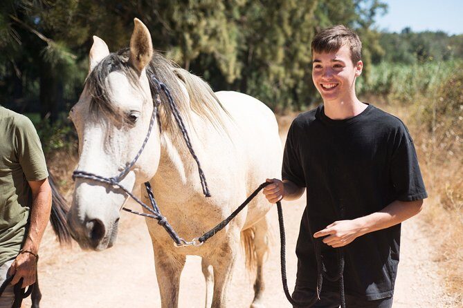 Horse Sanctuary: A nature walk with Rescued Horses by your side - The Sum Up