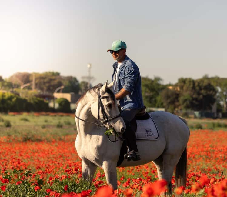 Horse Sanctuary in Rome - Key Points