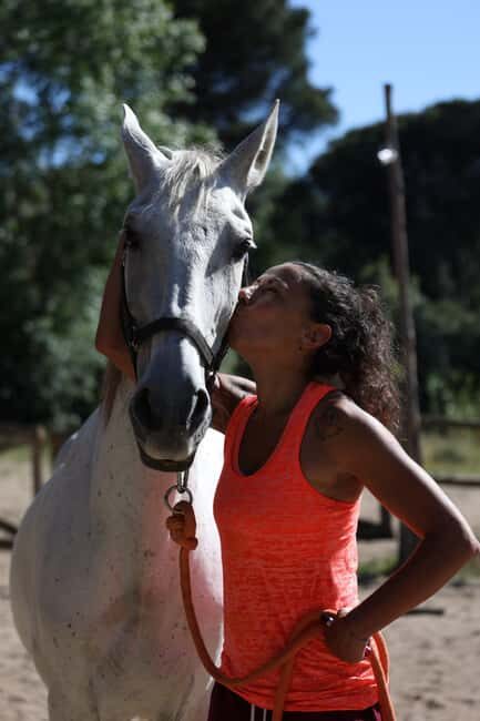 Horse Sanctuary in Rome - What to Expect from the Horse Sanctuary Experience