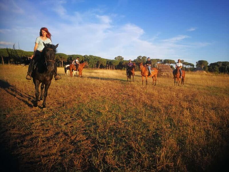 Horse Sanctuary in Rome - Who Should Consider This Experience?