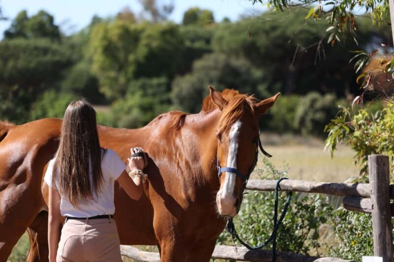 Horse Sanctuary in Rome - FAQ