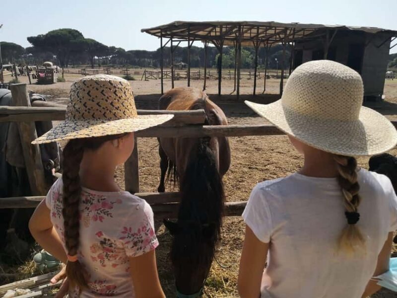 Horse Sanctuary in Rome - Summing Up: Who Will Love This?