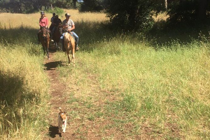Horse Sanctuary & Trail Ride in Ostia Antica - The Value of the Experience
