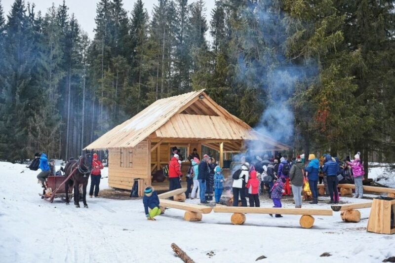 Horse Sleigh 2-3h Ride with Hot Springs or Zakopane Combos - Exploring the Charm of Zakopane: A Detailed Review of the Horse Sleigh & Thermal Baths Experience