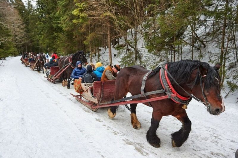 Horse Sleigh 2-3h Ride with Hot Springs or Zakopane Combos - A Complete Breakdown of the Zakopane Horse Sleigh & Thermal Baths Tour