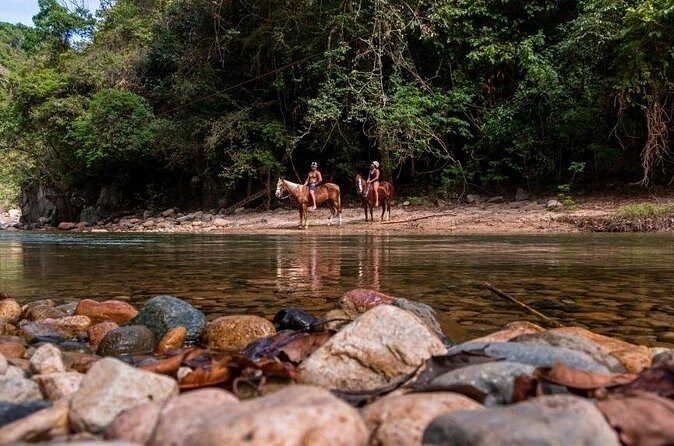 Horse Tour - Who is This Tour Best For?
