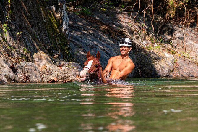 Horse Tour - Final Thoughts