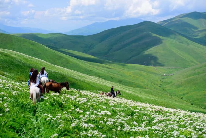 Horseback Adventure in Armenias Highland Pastures - What the Reviews Say