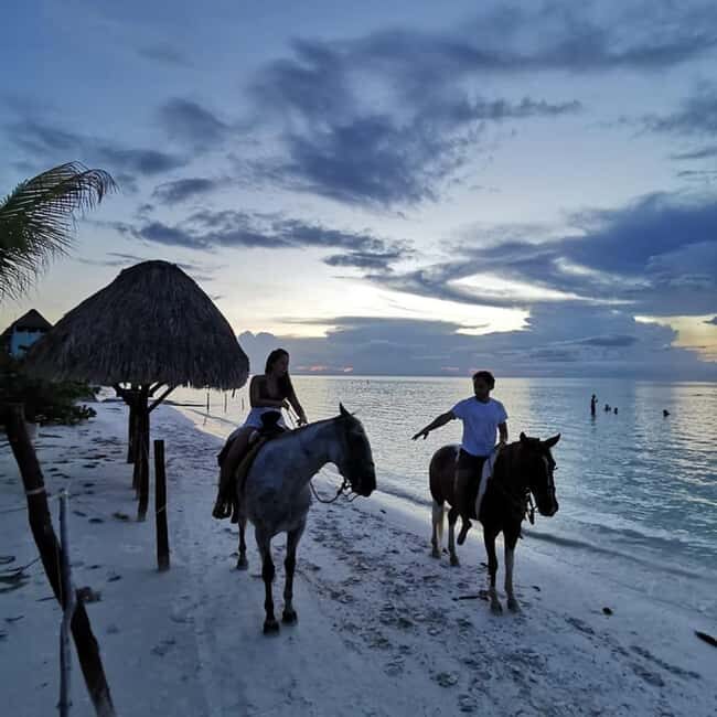 Horseback Adventure in Holbox - Key Points