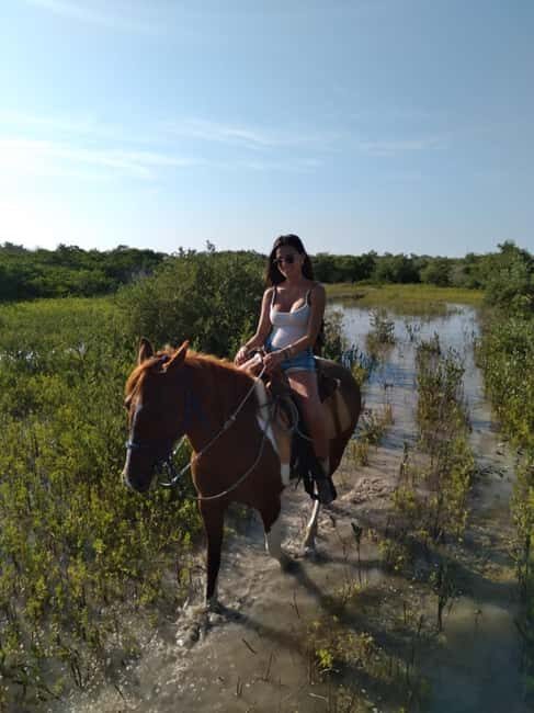 Horseback Adventure in Holbox - Introduction: What You Need to Know