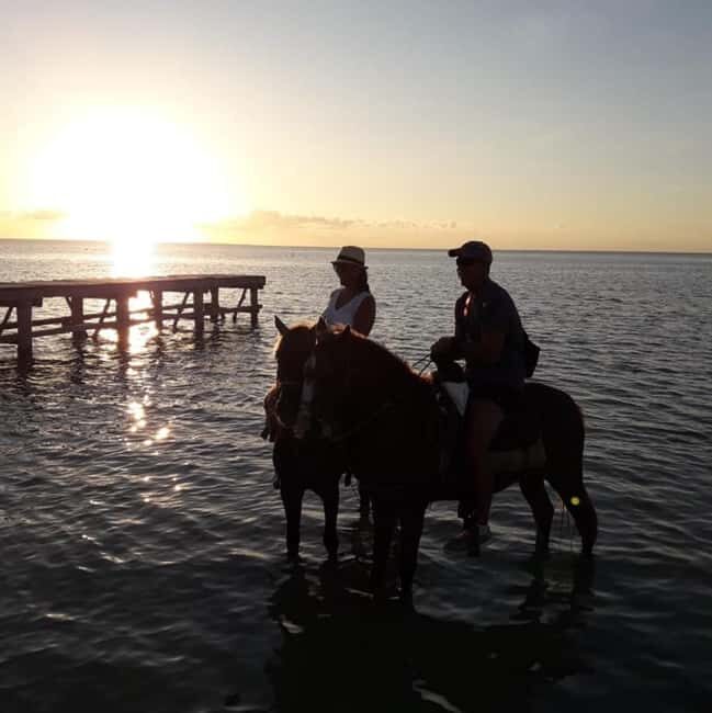 Horseback Adventure in Holbox - Authentic Insights from Reviewers