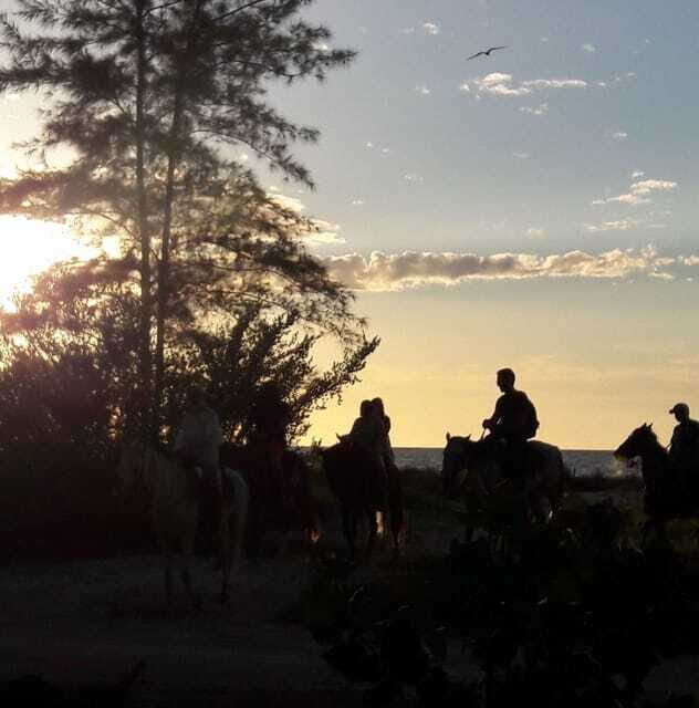 Horseback Adventure in Holbox - Why You Might Love This Tour