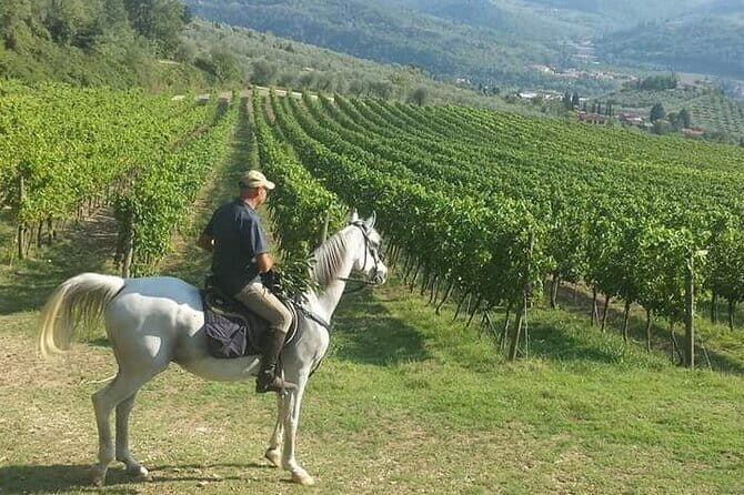 Horseback ride and gourmet cuisine in a historic food shop - Discover the Charm of Tuscany on a Horseback Ride with Gourmet Cuisine