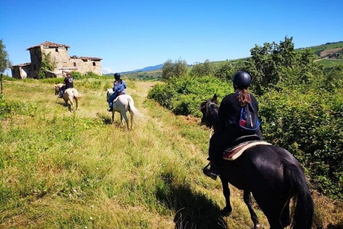 Horseback ride and Poolside Day chillout with Tuscan Lunch - Detailed Breakdown of the Itinerary